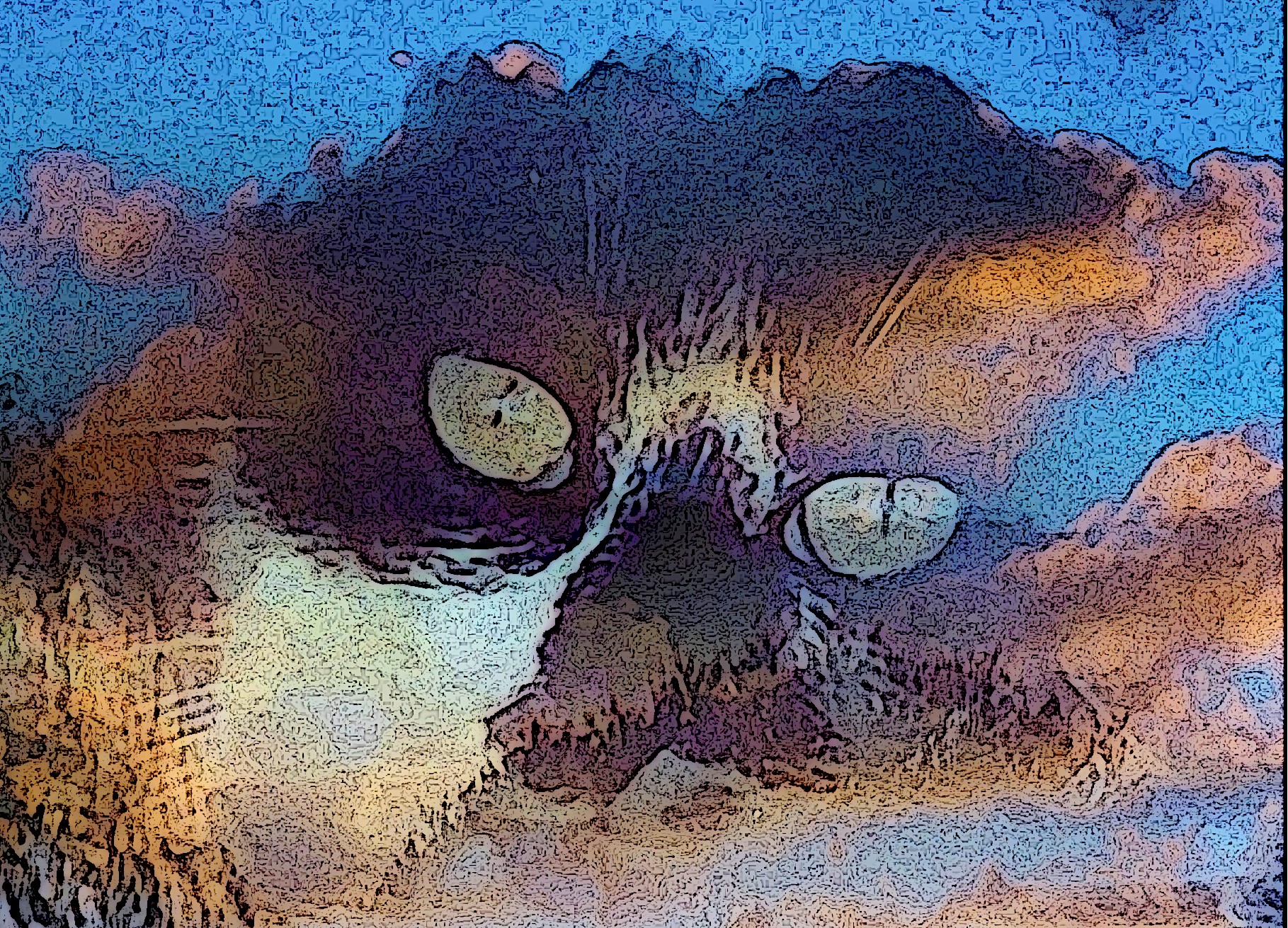 Der geschwätzige Kater – #kkl Magazin